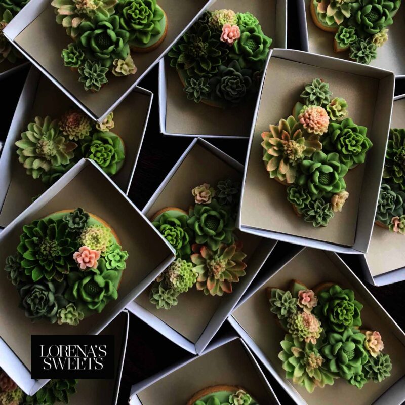 Lorena's Sweets Succulents Kit - Nature-Inspired Baking Creations