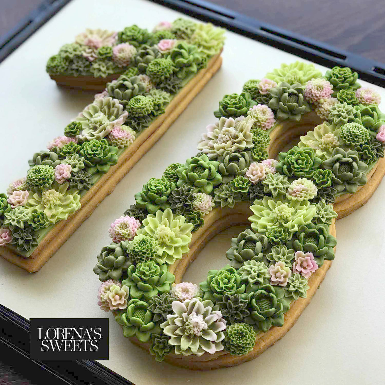 Lorena's Sweets Succulents Kit - Nature-Inspired Baking Creations