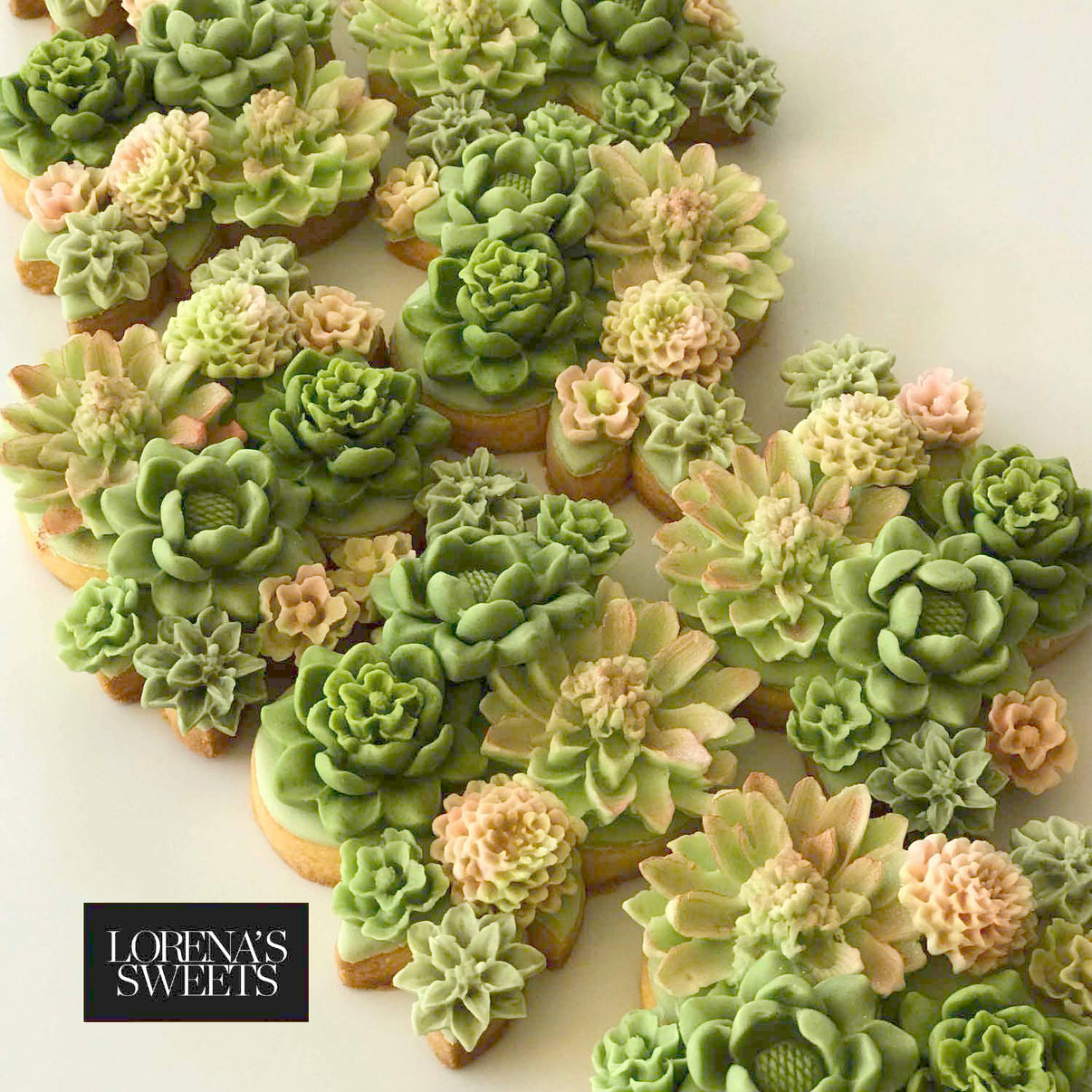 Lorena's Sweets Succulents Kit - Nature-Inspired Baking Creations
