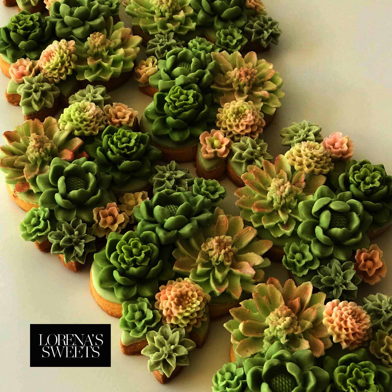 Lorena's Sweets Succulents Kit - Nature-Inspired Baking Creations