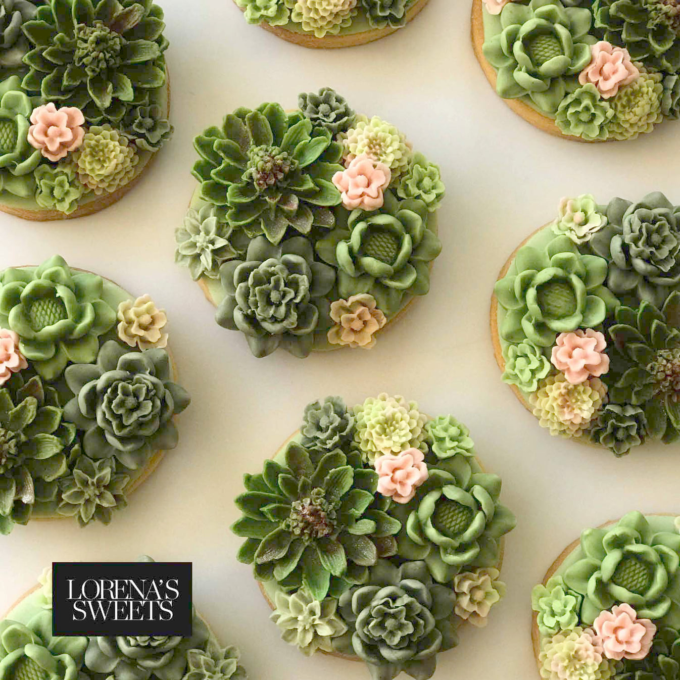 Lorena's Sweets Succulents Kit - Nature-Inspired Baking Creations